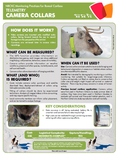Camera Collars Factsheet (English) | Canadian Conservation and Land ...