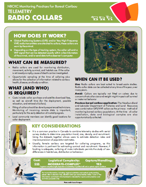 Radio Collars Factsheet (English) | Canadian Conservation and Land ...
