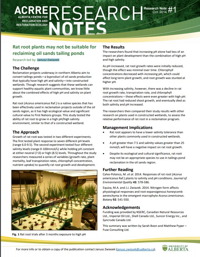 Rat Root Plants May Not be Suitable for Reclaiming Oil Sands Tailing ...