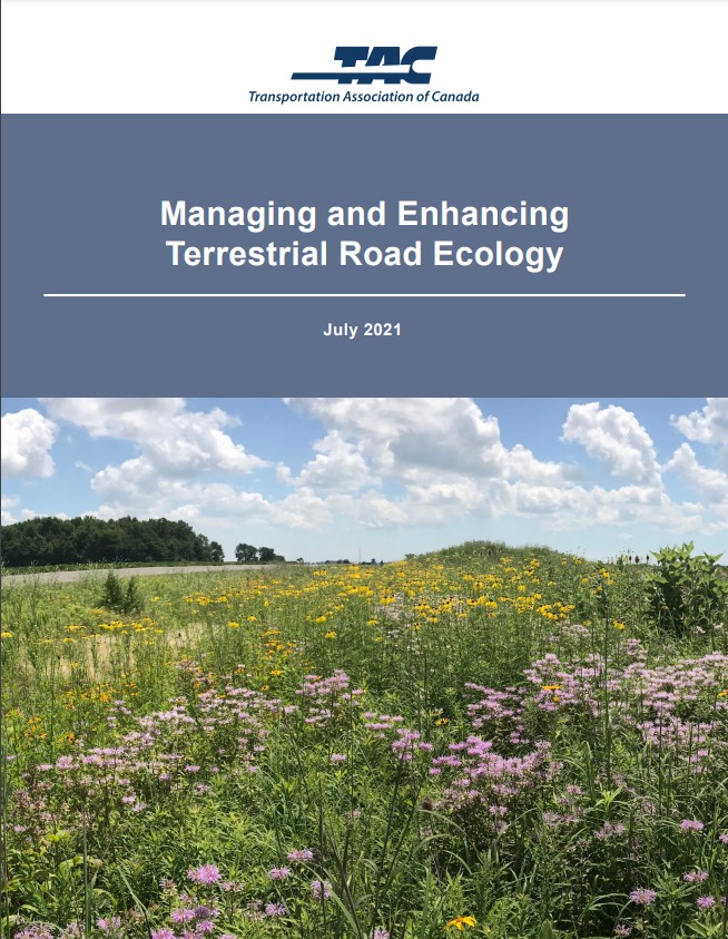 Managing and Enhancing Terrestrial Road Ecology | Canadian Conservation ...