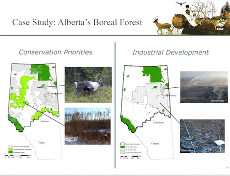 Video - Economic and Ecological Outcomes of Flexible Biodiversity ...