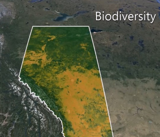 Video - Mapping Alberta’s Hidden Value: The ABMI’s Ecosystem Services ...