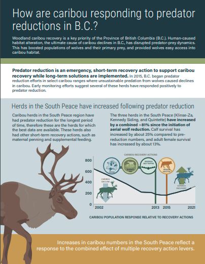 Predator Reduction Results Part 2 - Infographic | Canadian Conservation ...