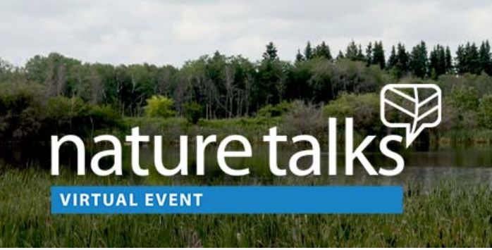 NatureTalks: Wetlands 101 | Canadian Conservation and Land Management ...