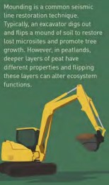 How Mounds are Made Matters: Seismic Line Restoration Techniques Affect ...