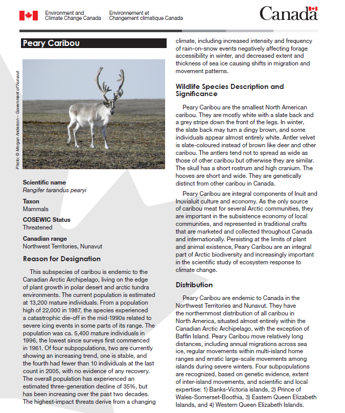 Fact Sheet: Peary Caribou | Canadian Conservation and Land Management ...
