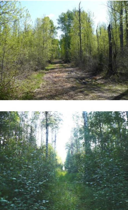 Ecologically-based Criteria to Assess the Impact and Recovery of ...