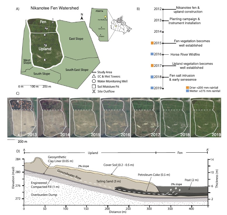 A Temporal Snapshot of Ecosystem Functionality During the Initial ...