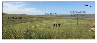 Spatial Patterns and Mass Balance of Sodium in Near-surface Peat of a ...