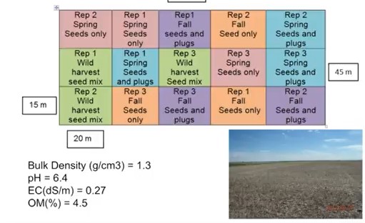 Video - Revegetation Success of Foothills Fescue Grassland (2013 ...