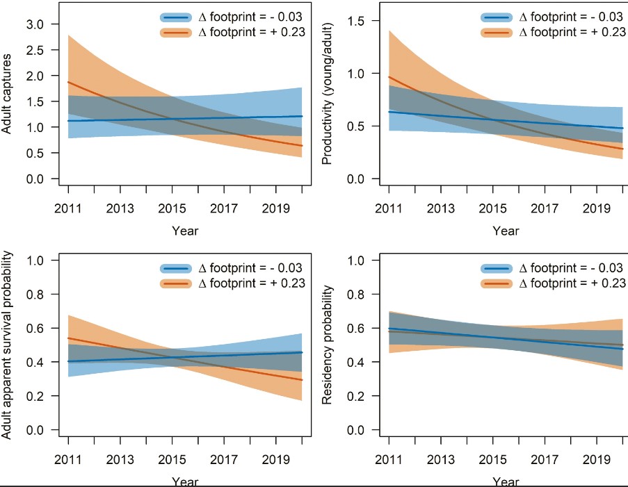 Demographic Declines Over Time and Variable Responses of Breeding Bird ...