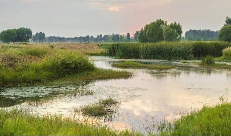 Soil and Groundwater Guideline Calculator Workshop - Calgary | Canadian ...
