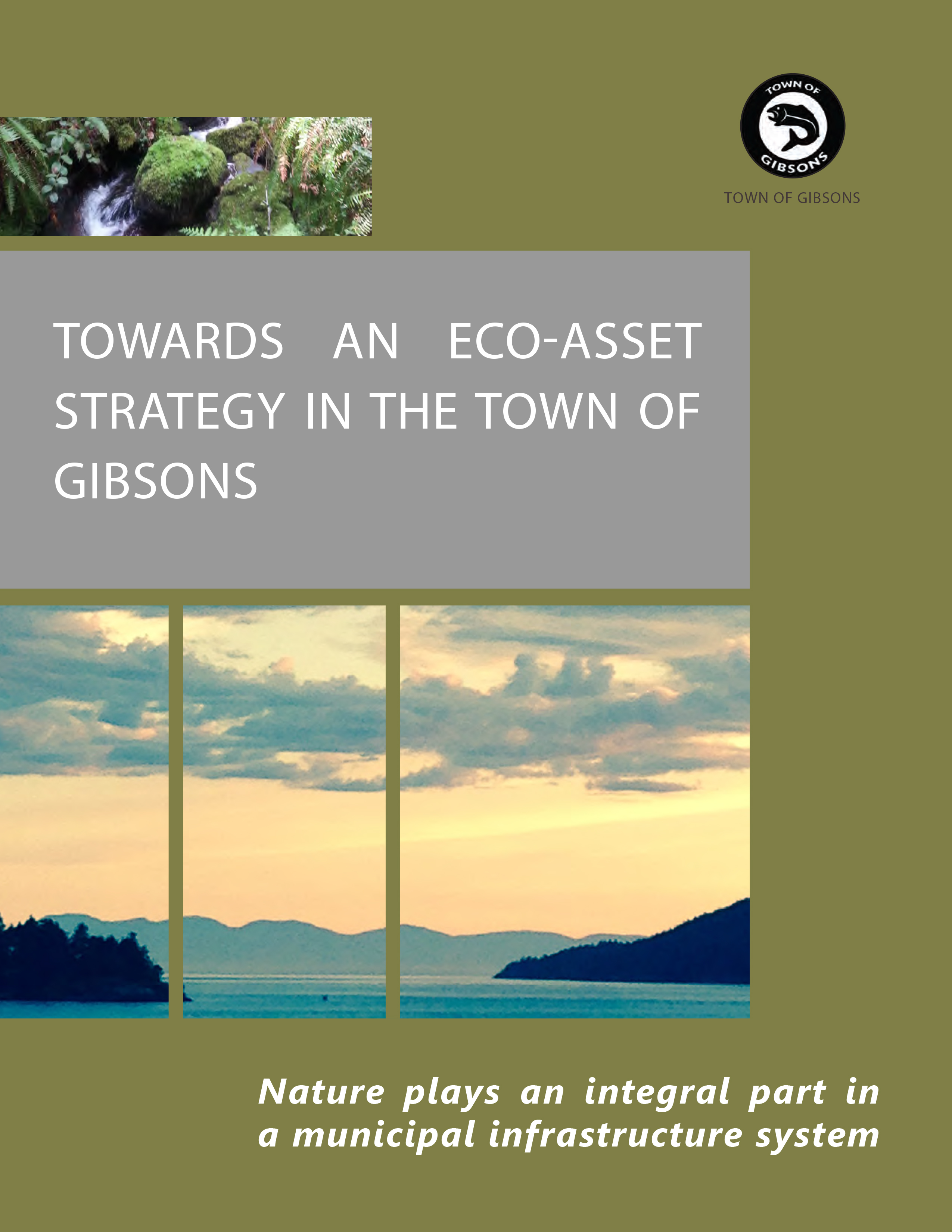 Towards an Eco-Asset Strategy in the Town of Gibsons: Nature Plays and ...
