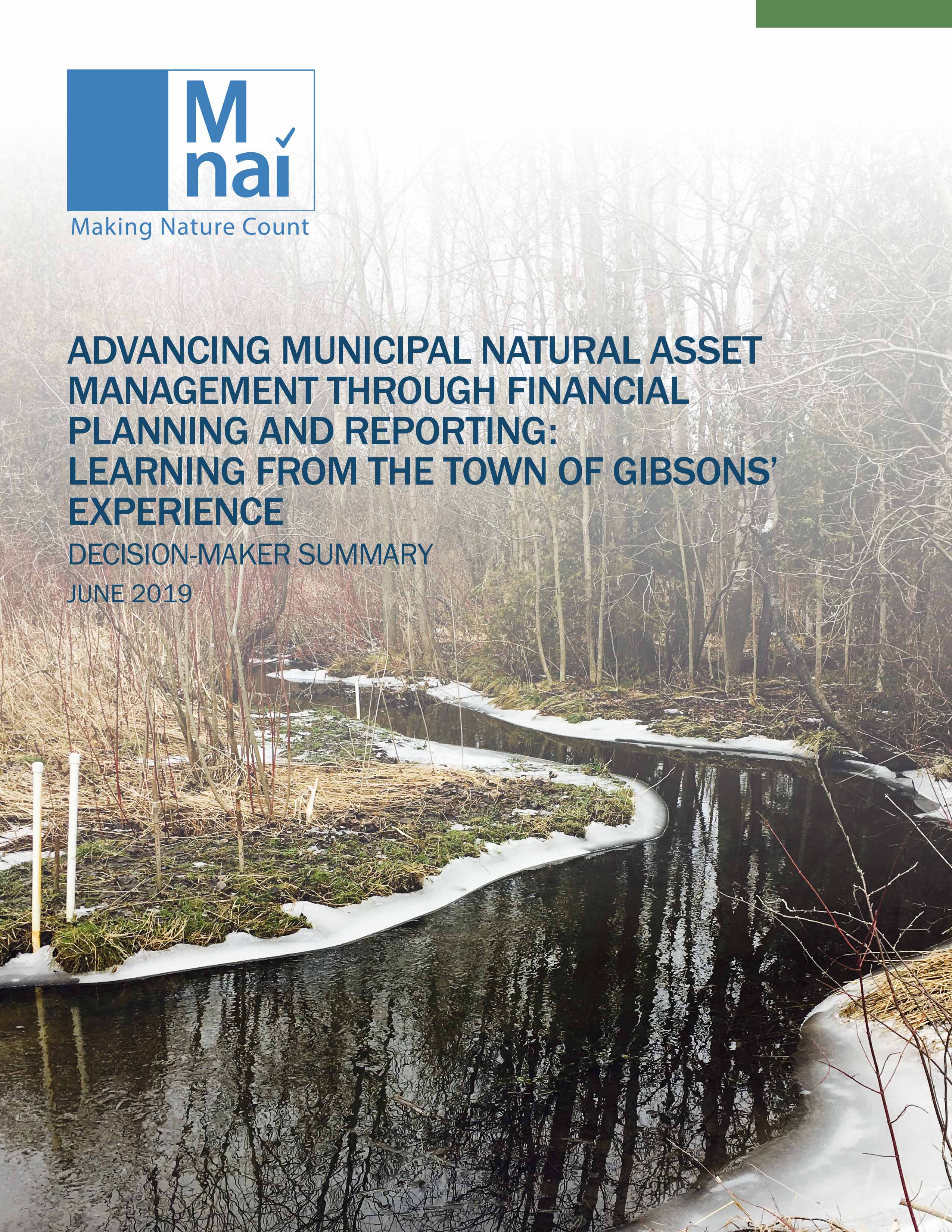 Advancing Municipal Natural Asset Management Through Financial Planning ...