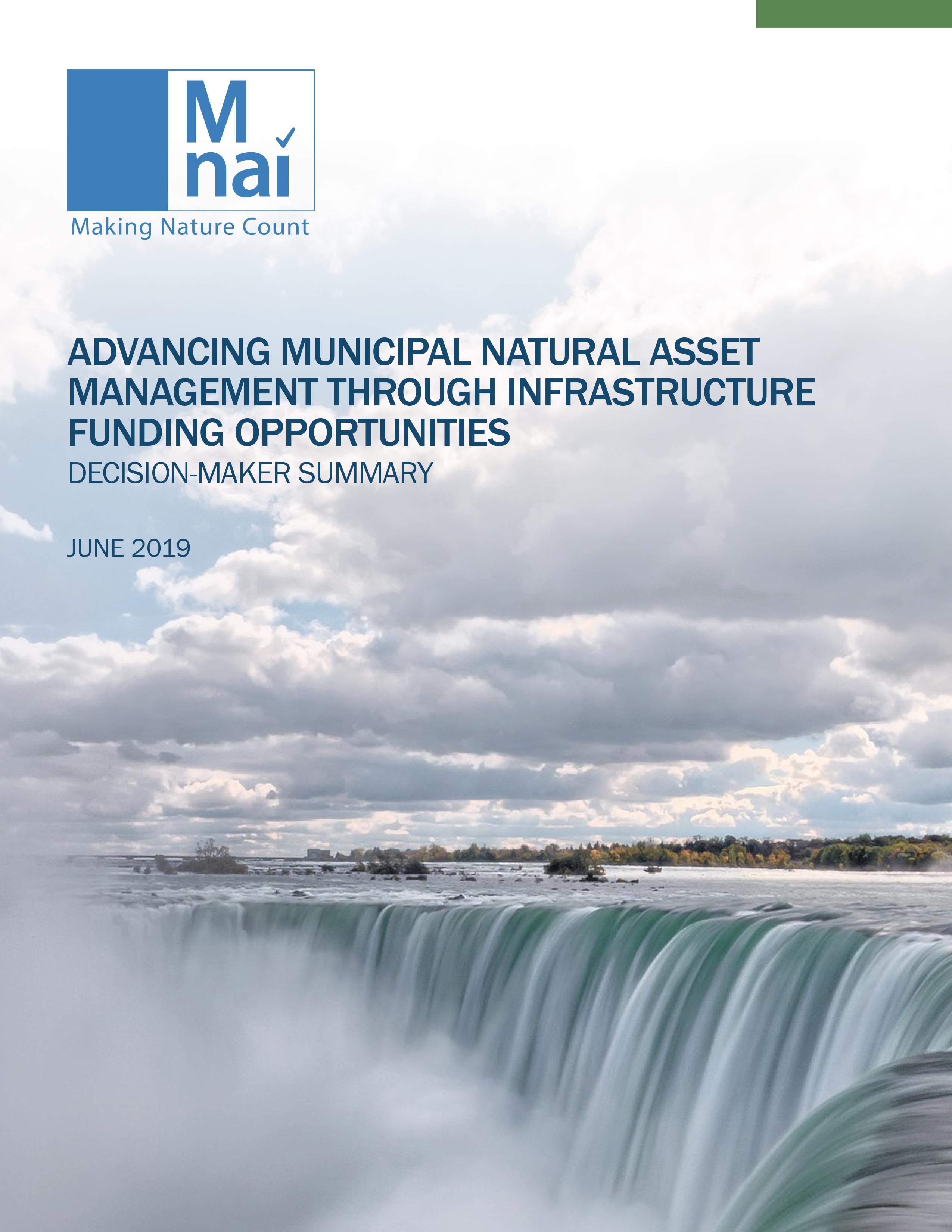 Advancing Municipal Natural Asset Management Through Funding ...