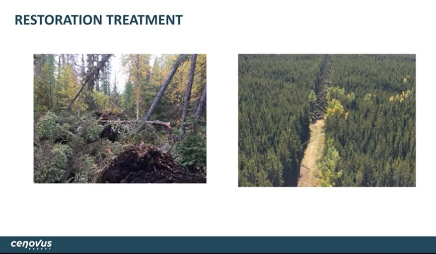 Webinar - Testing Operational Innovations to Maximize Linear ...