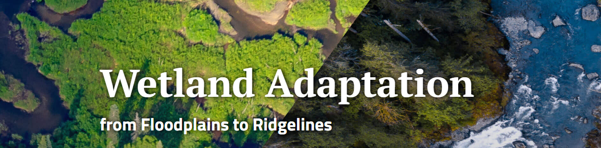 Society of Wetland Scientists 2023 Annual Meeting | Canadian ...