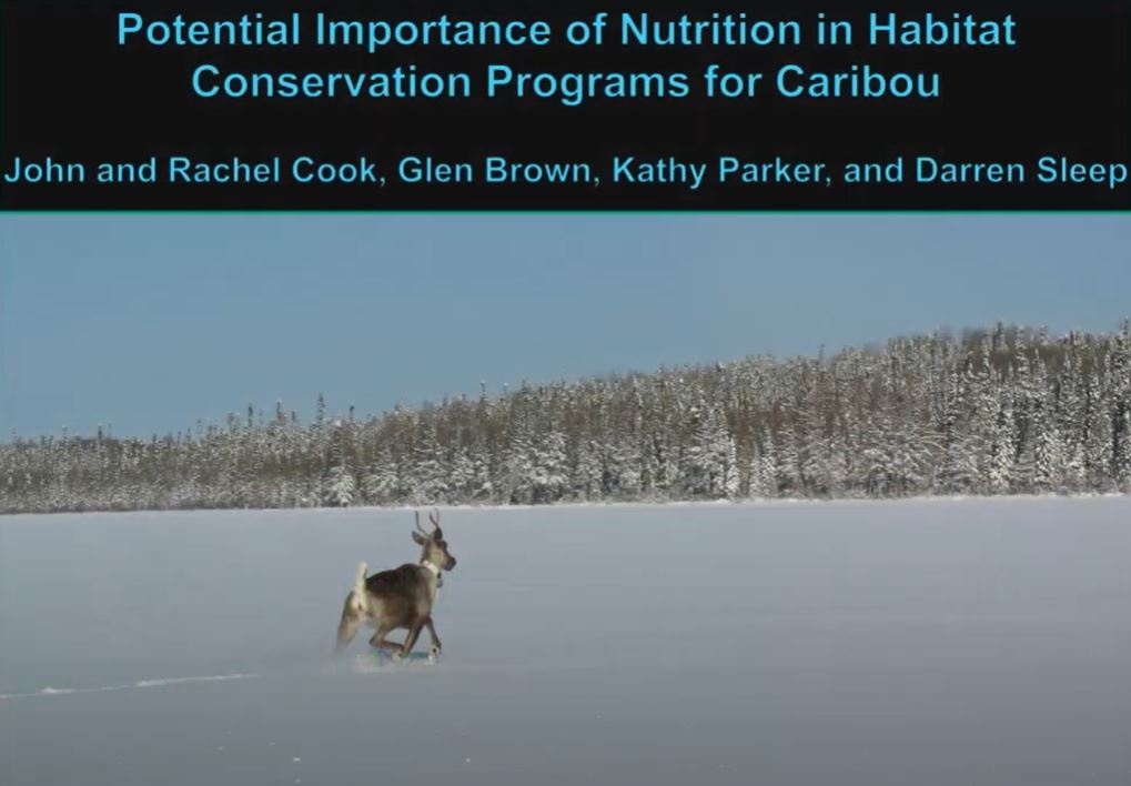Video - The Potential Importance of Nutrition in Habitat Conservation ...