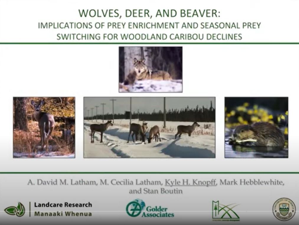 Video - Wolves, Deer and Beaver: Implications of Prey Enrichment and ...