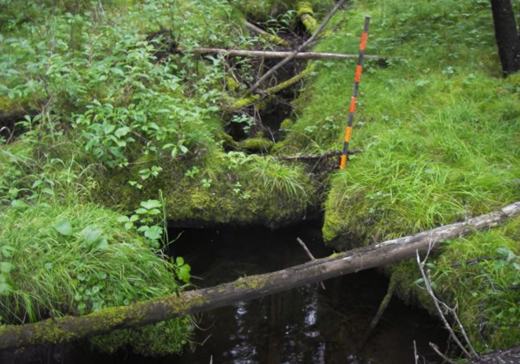 Video - A Drainage Network Model for Regional-scale Land-use Planning ...