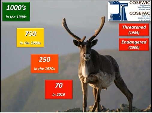 Webinar - 30 Years of Change: Linking Habitat, Predators and ...