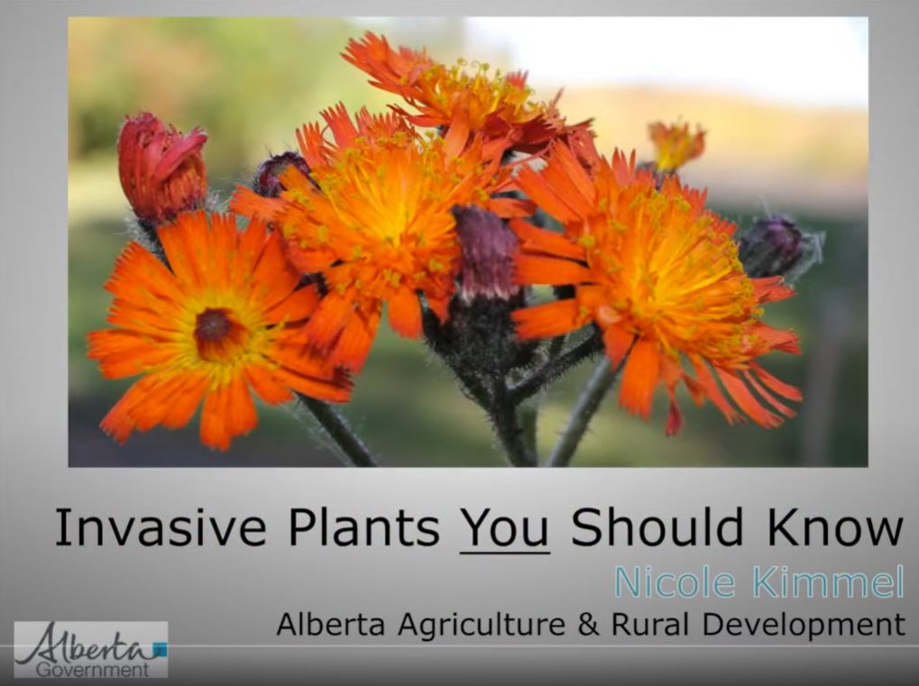 Video - Invasive Plants You Should Know | Canadian Conservation and ...