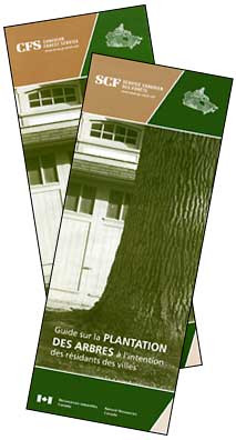 A Guide to Planting Trees for Urban Residents | Canadian Conservation ...