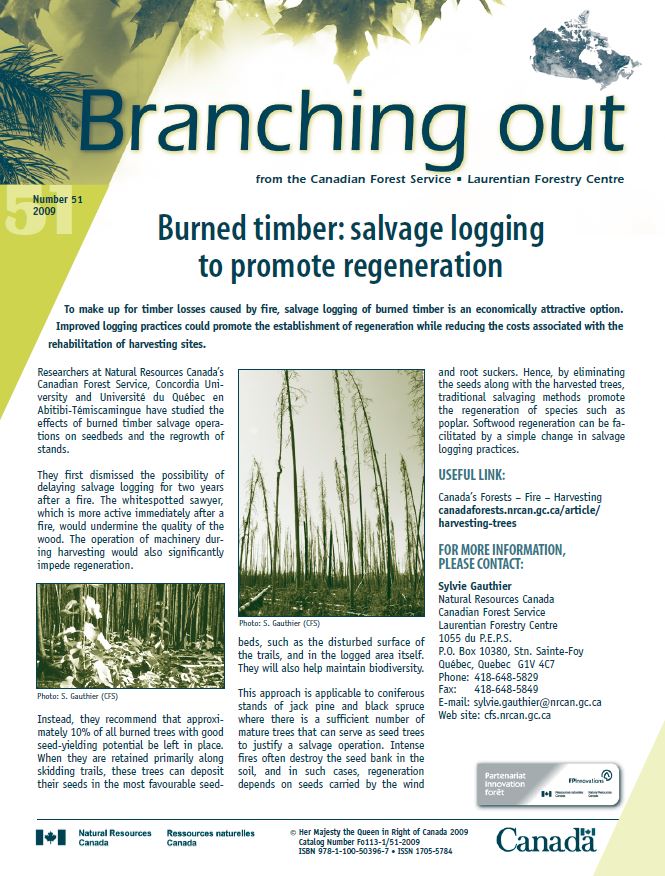 Burned Timber: Salvage Logging to Promote Regeneration | Canadian ...
