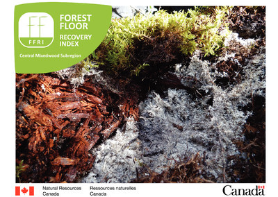 Forest Floor Recovery Index: Boreal Mixedwood Field Guide | Canadian ...