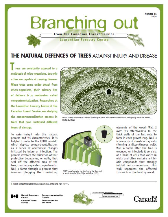 The Natural Defences of Trees Against Injury and Disease | Canadian ...