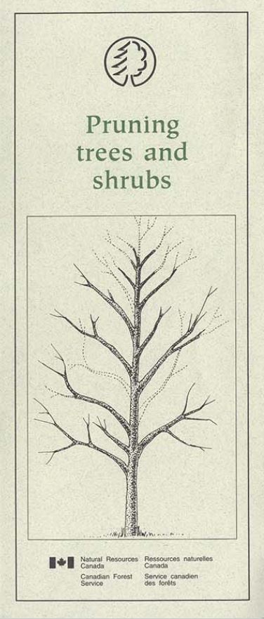 Pruning Trees and Shrubs | Canadian Conservation and Land Management ...