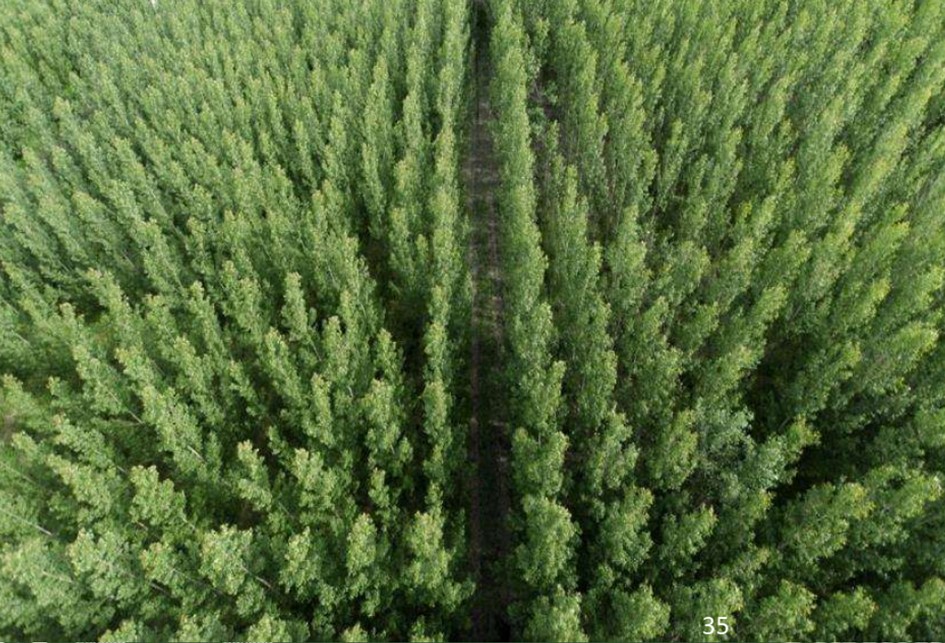 Webinar - Adoption of Forest Technology Development Practices ...