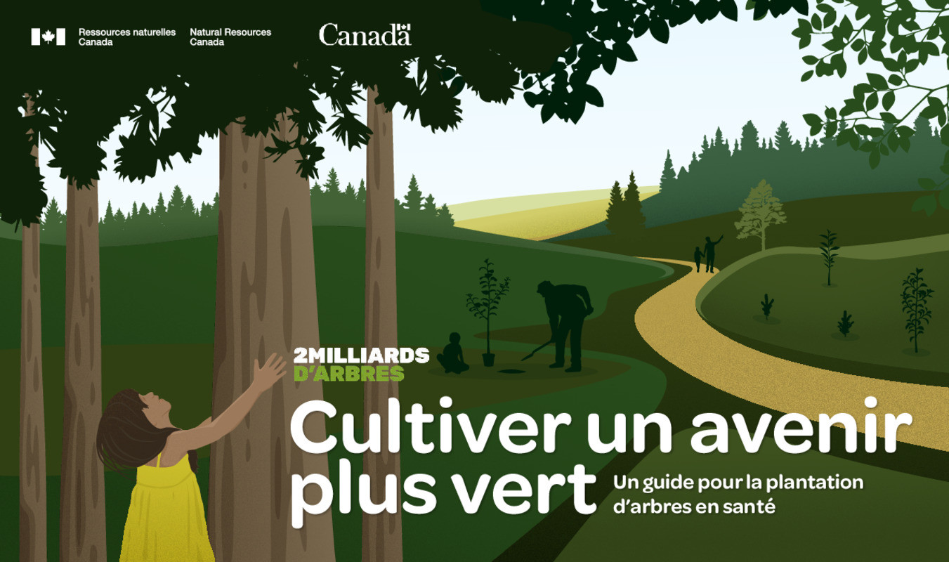 Cultiver un avenir plus vert : Un guide pour la plantation d'arbres en ...