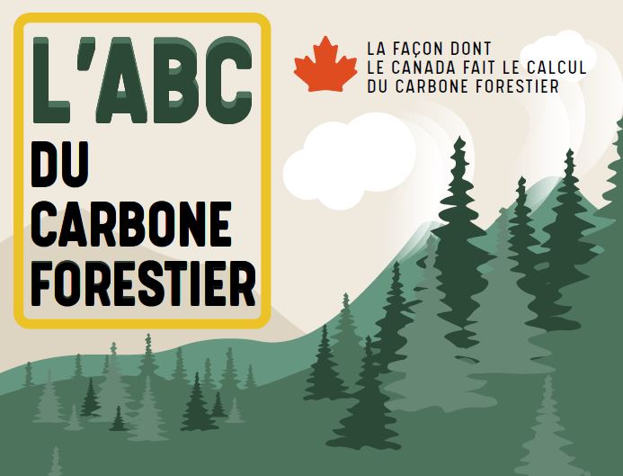 L'ABC du carbone forestier : La façon dont le Canada fait le calcul du ...