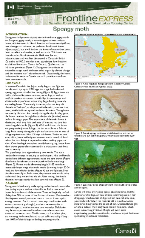 Spongy Moth | Canadian Conservation and Land Management (CCLM ...