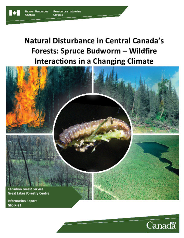 Natural Disturbance in Central Canada’s Forests: Spruce Budworm ...
