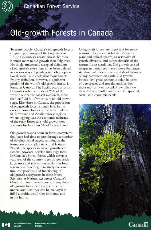 Old-Growth Forests in Canada | Canadian Conservation and Land ...