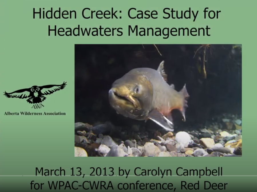 Video - Hidden Creek: A Case Study for Headwaters Management | Canadian ...