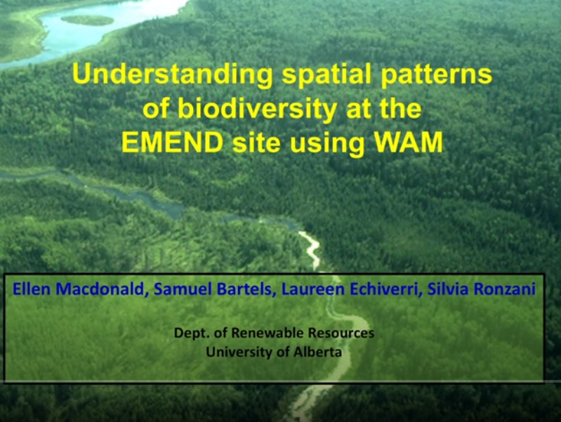 Video - Understanding Spatial Patterns of Biodiversity at the EMEND ...