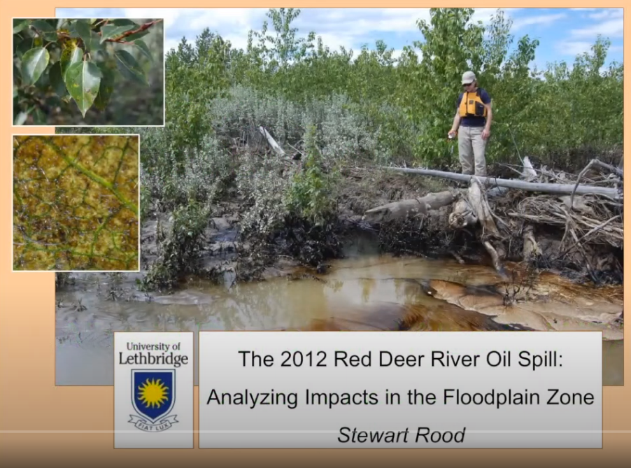 Video - The 2012 Red Deer River Oil Spill: Analyzing Impacts in the ...