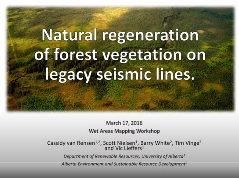 Video - Natural Regeneration of Forest Vegetation on Legacy Seismic ...