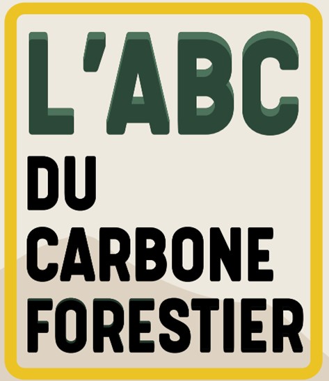 L'ABC du carbone forestier: La façon dont le Canada fait le calcul du ...