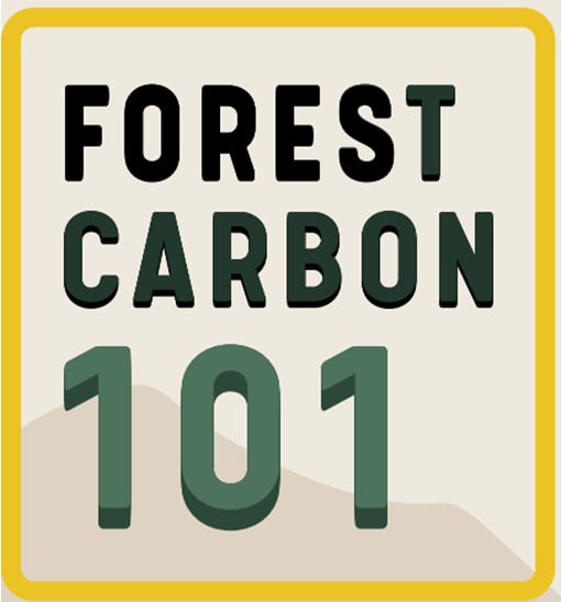 Forest Carbon 101: How Canada Calculates Forest Carbon | Canadian ...