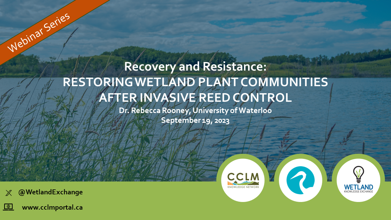 Webinar - Restoring the Wetland Plant Community After Invasive Reed ...