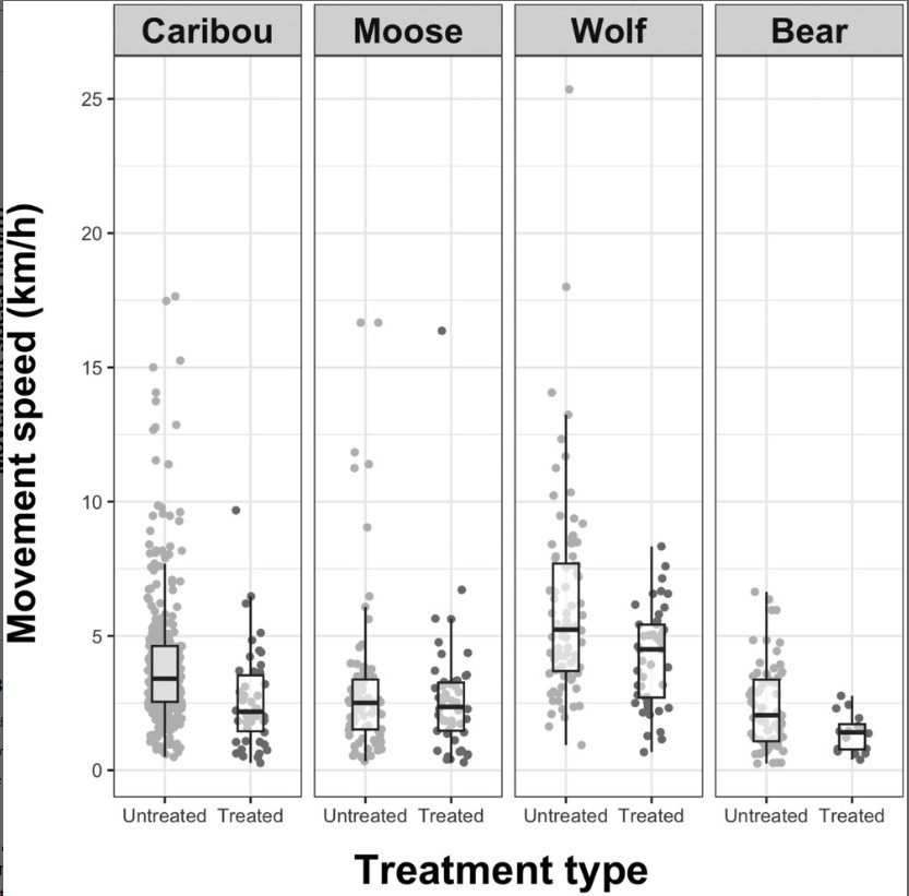 Evaluating the Impact of Caribou Habitat Restoration on Predator and ...