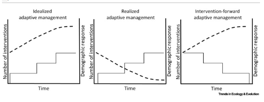 Intervention-forward Adaptive Management in the Face of Extinction ...