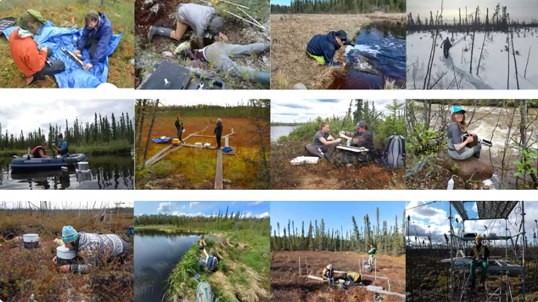 Webinar - Does Biodiversity Recover Following Harvest? Lessons From the ...