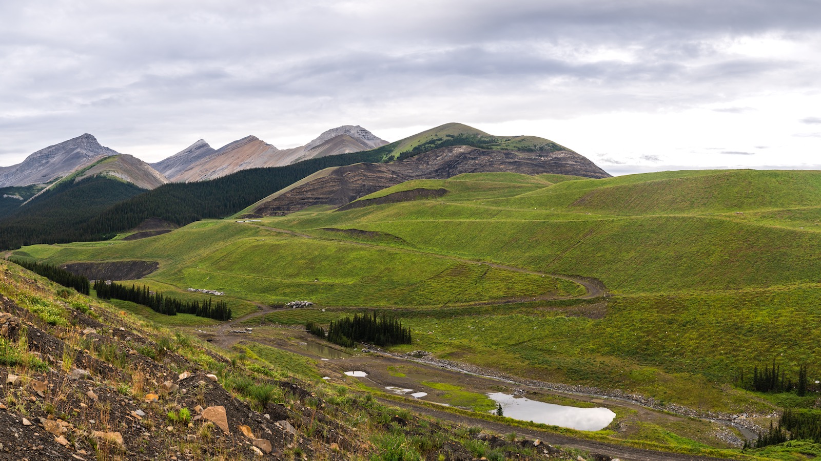 Reclamation Operations at Cardinal River Coals Ltd. | Canadian ...