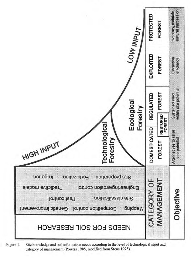 Sustaining Forest Productivity Through Soil Quality Standards: A ...