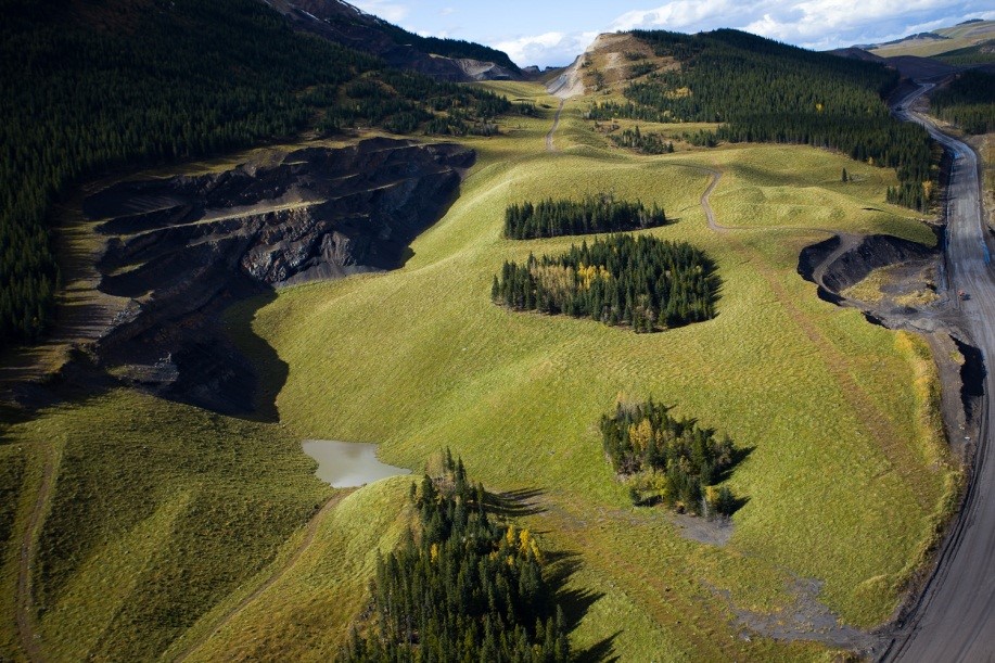 Reclamation Certification Criteria – Coal Mining Disturbances: An ...